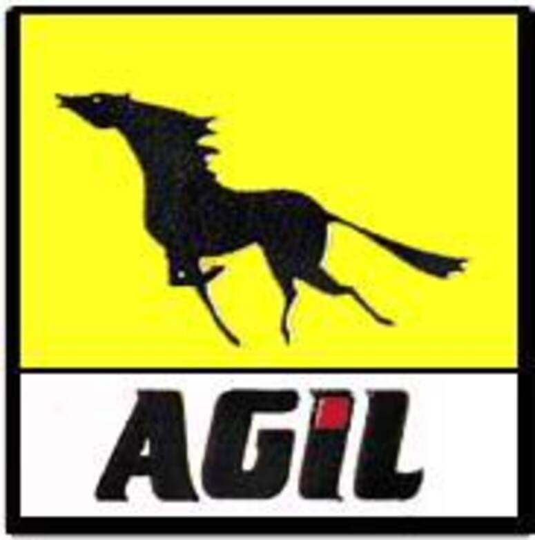 Cession de 35% du capital de la SNDP (AGIL): 6 compagnies sélectionnées