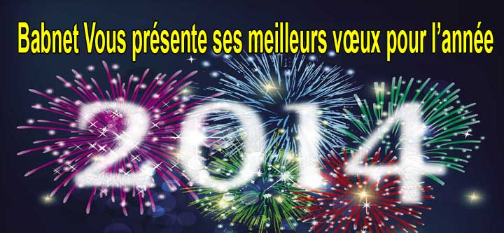 Babnet Tunisie : Année 2013 en chiffres